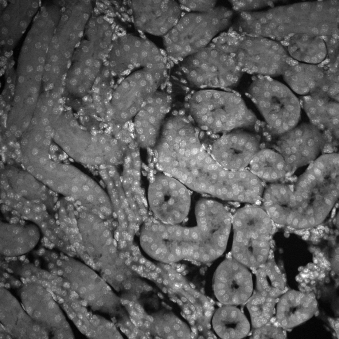 Technology - Sinoveda